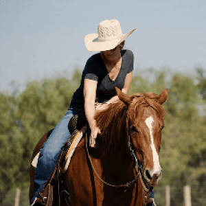 Ariat Women's Jacket 'Grizzly Rancher' Chestnut Horse 10052600 ...