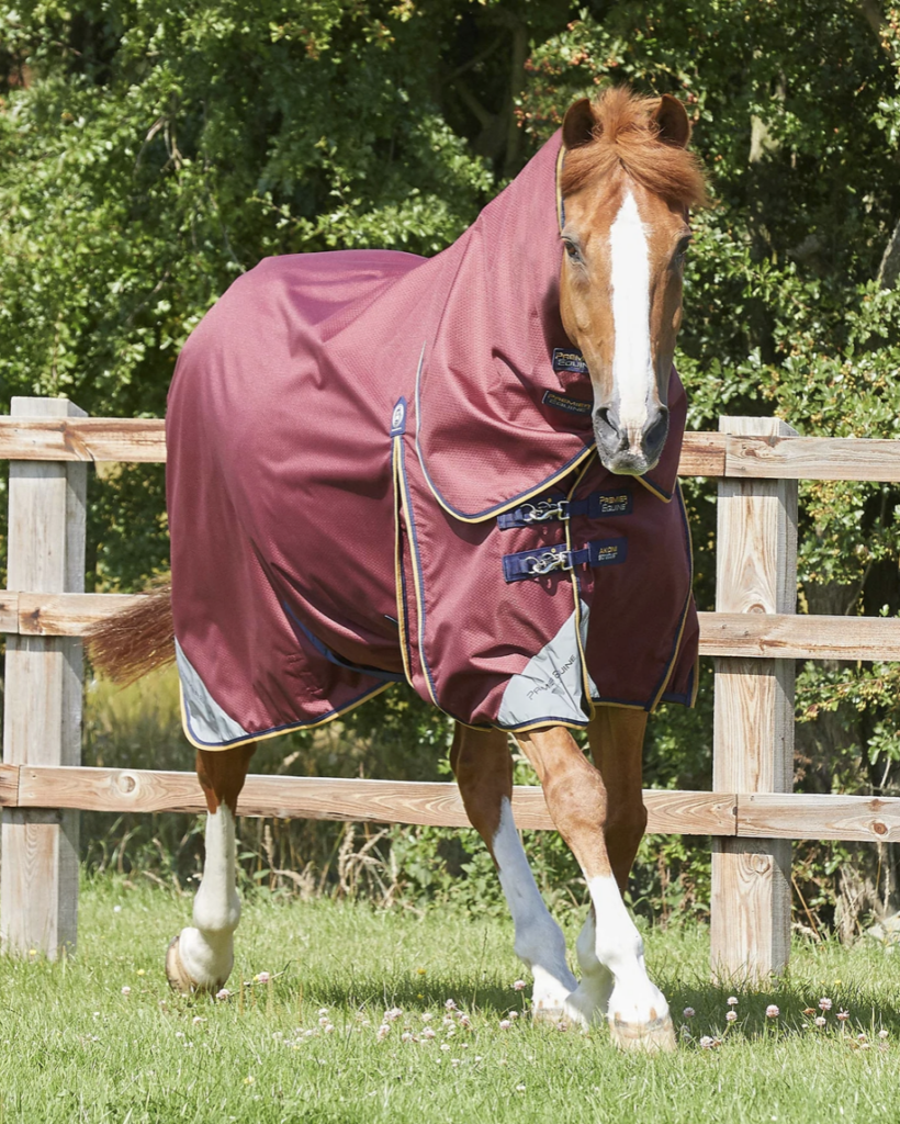 Premier Equine Akoni 0g Turnout Rug with Classic Neck Cover | Pakenham ...