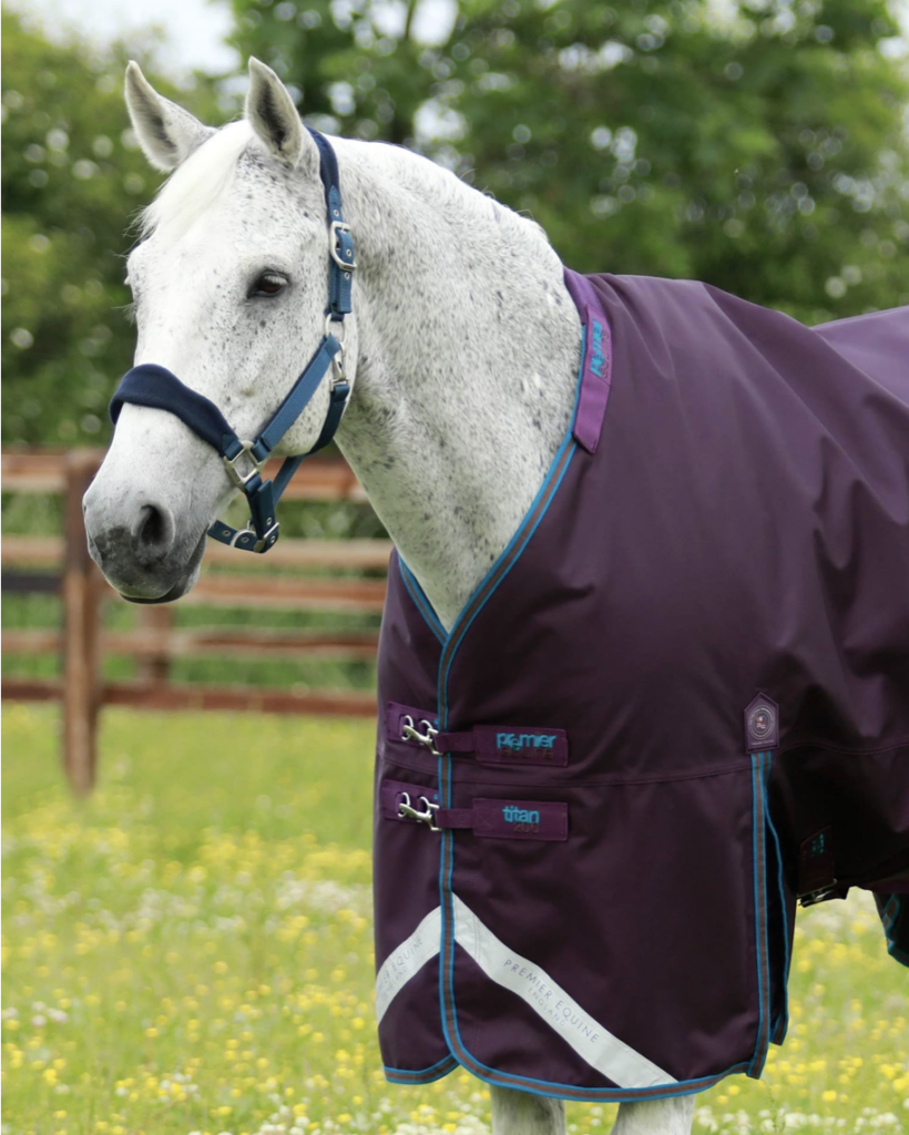 Premier Equine Titan 200g Turnout Rug with Snug-Fit Neck Cover ...