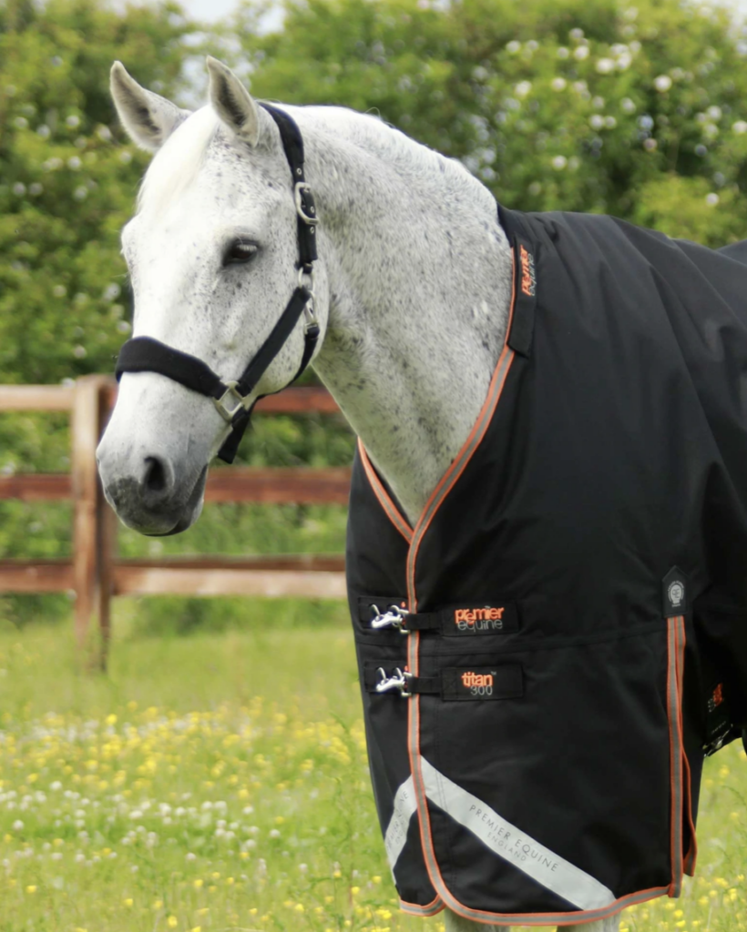 Premier Equine Titan 300g Turnout Rug with Snug-Fit Neck Cover ...