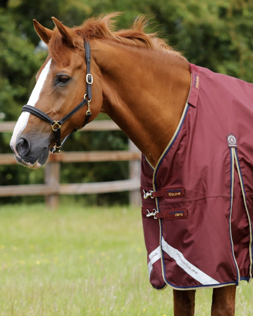 Premier Equine Buster Zero Turnout Rug with Classic Neck Cover ...