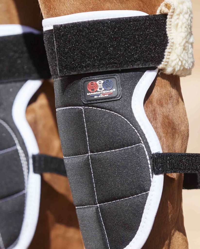 Premier Equine Magni-Teque Magnetic Horse Knee Boots | Pakenham Western