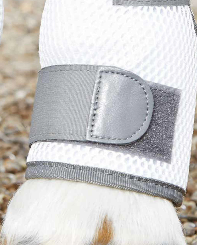 Premier Equine Pro-Tech Bug & Fly Boots | Pakenham Western