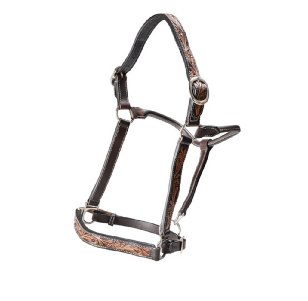 Fort Worth Leather Halter w Tooled Pattern Cob | Pakenham Western