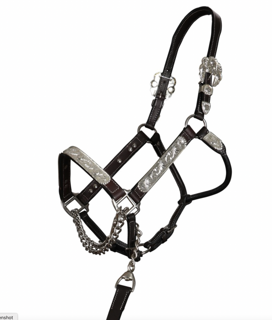 Fort Worth Scottsdale Arabian Silver Halter FOR195-0010 | Pakenham Western