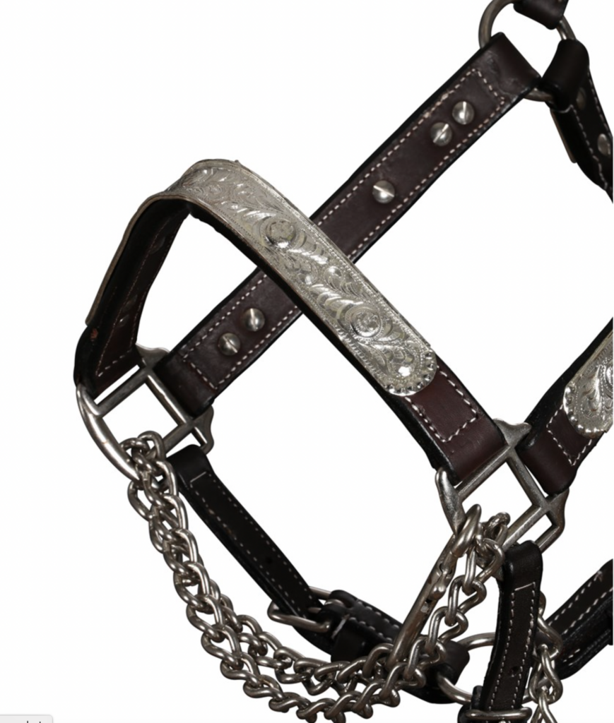 Fort Worth Scottsdale Arabian Silver Halter FOR195-0010 | Pakenham Western
