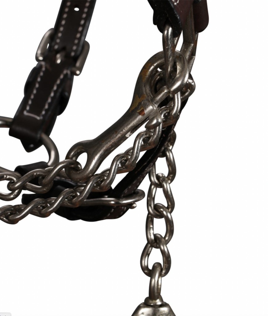 Fort Worth Scottsdale Arabian Silver Halter FOR195-0010 | Pakenham Western