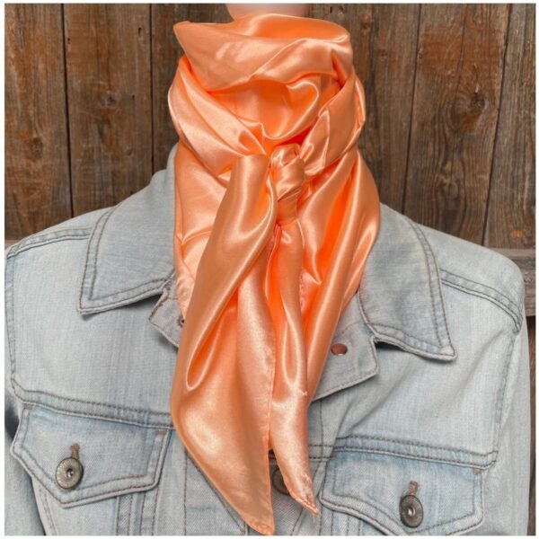 Rodeo Drive Wild Rags Solid Colours | Pakenham Western