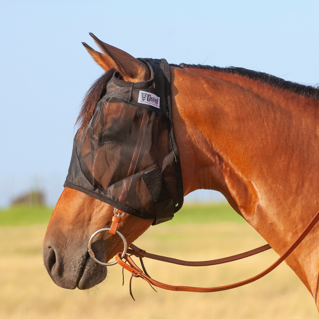 Cashel Quiet Ride Fly Mask Standard | Pakenham Western