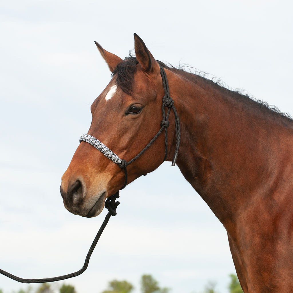 Cashel Braided Rope Halter & Lead | Pakenham Western