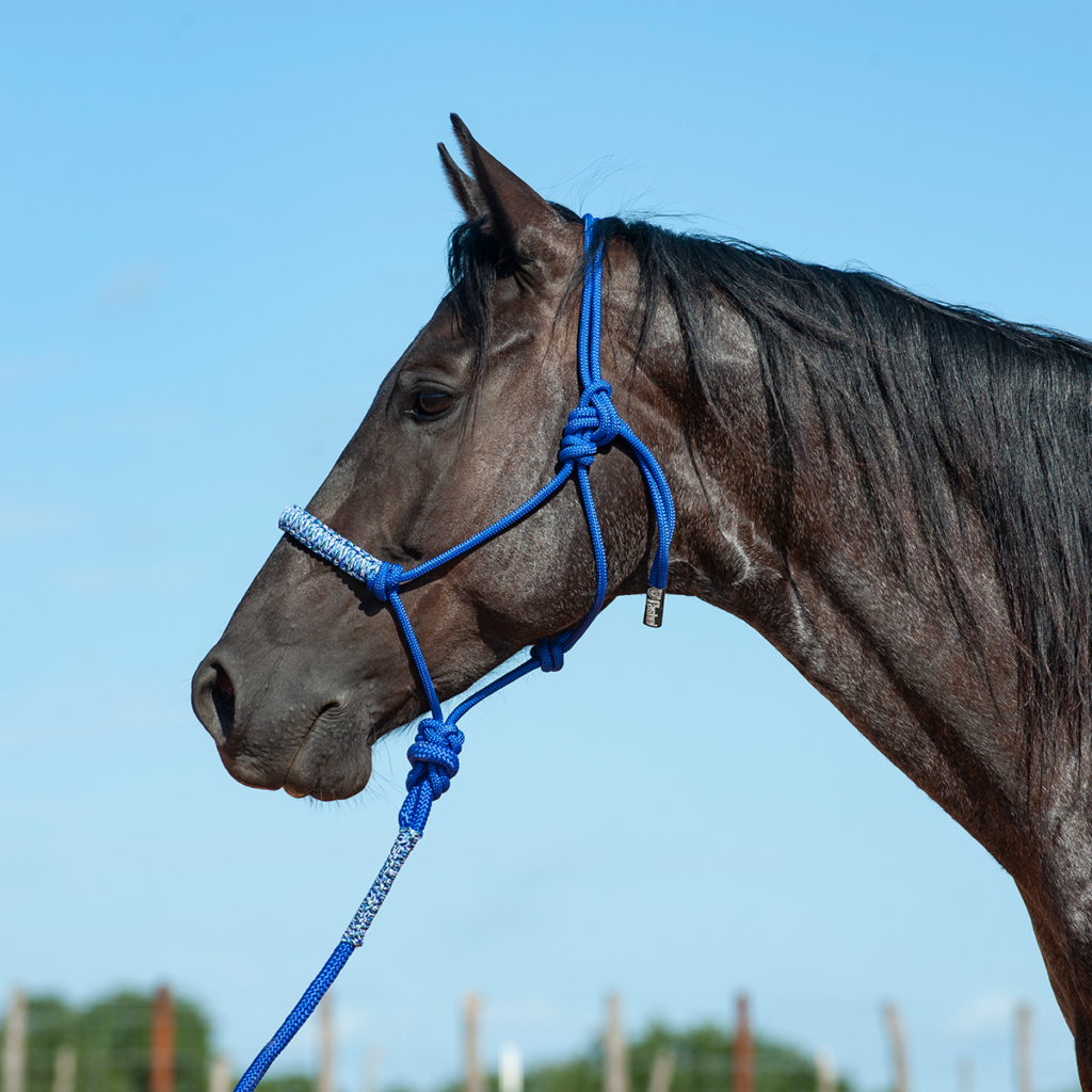 Cashel Braided Rope Halter & Lead | Pakenham Western