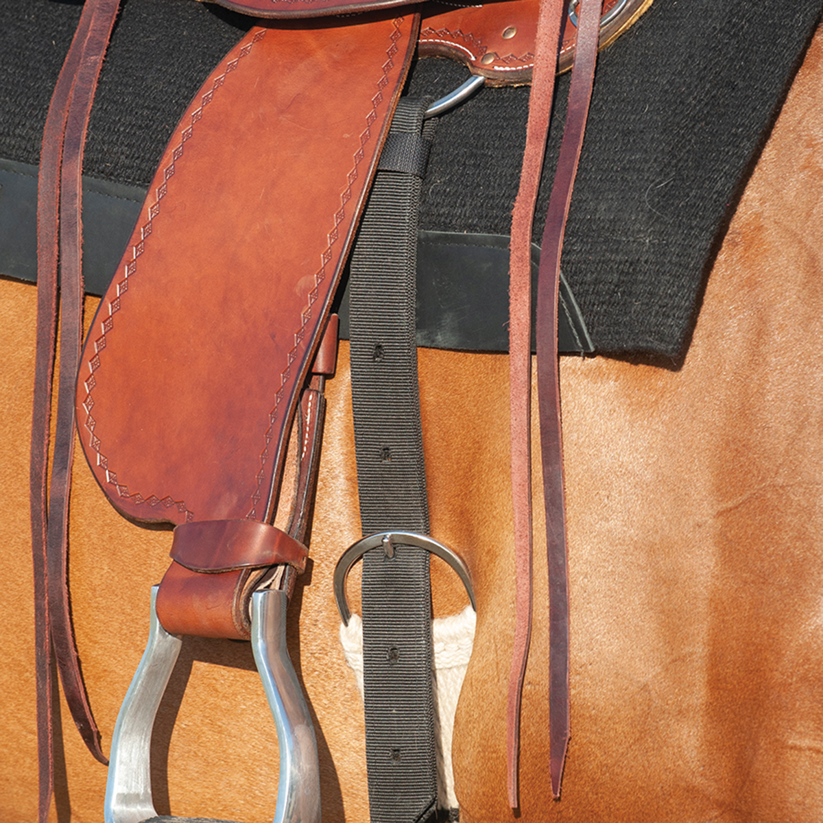 Cashel Nylon Billet Strap | Pakenham Western