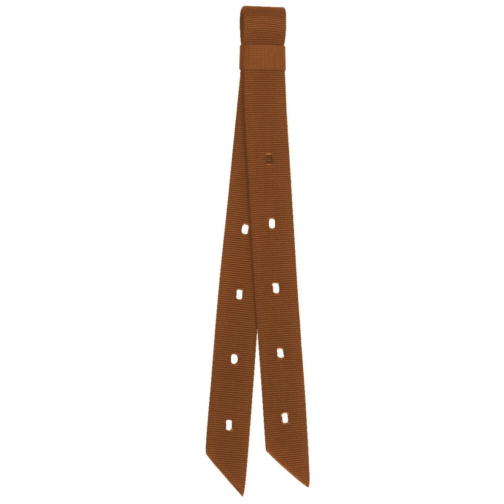 Cashel Nylon Billet Strap | Pakenham Western
